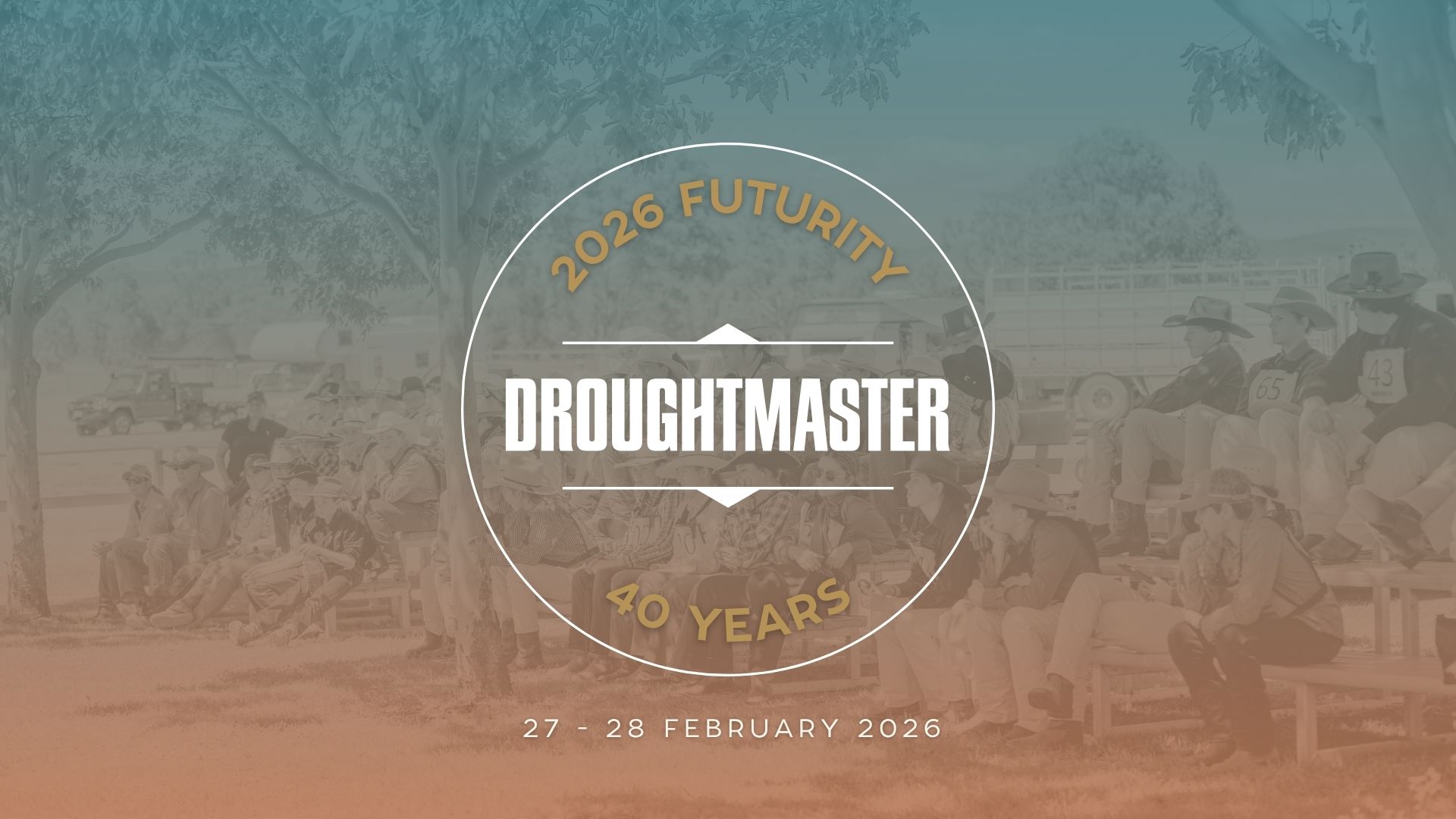 Droughtmaster Futurity - 40th Anniversary, Toogoolawah ...